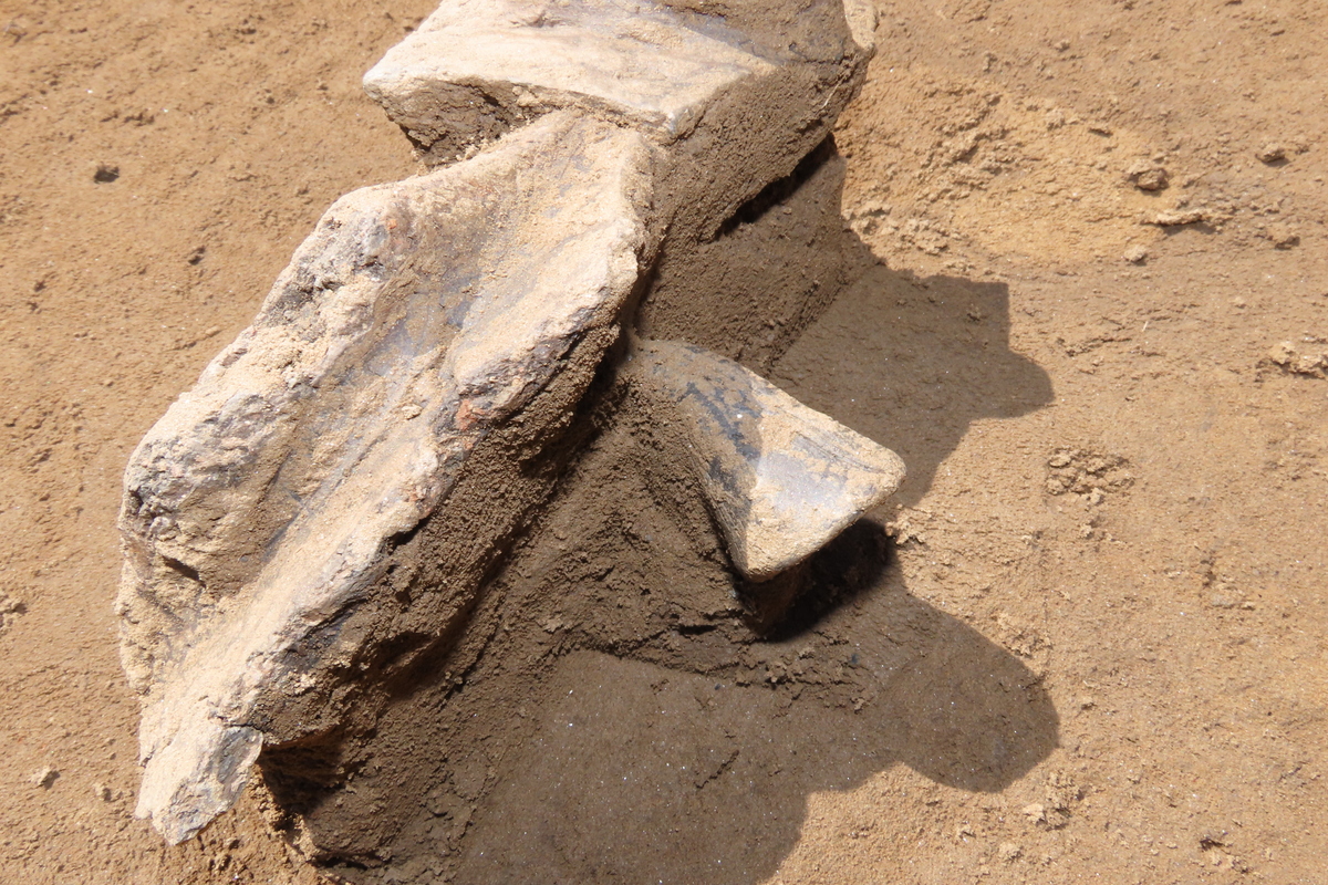 Arheolozi sprovode zaštitna arheološka istraživanja na lokalitetu Žuto ...