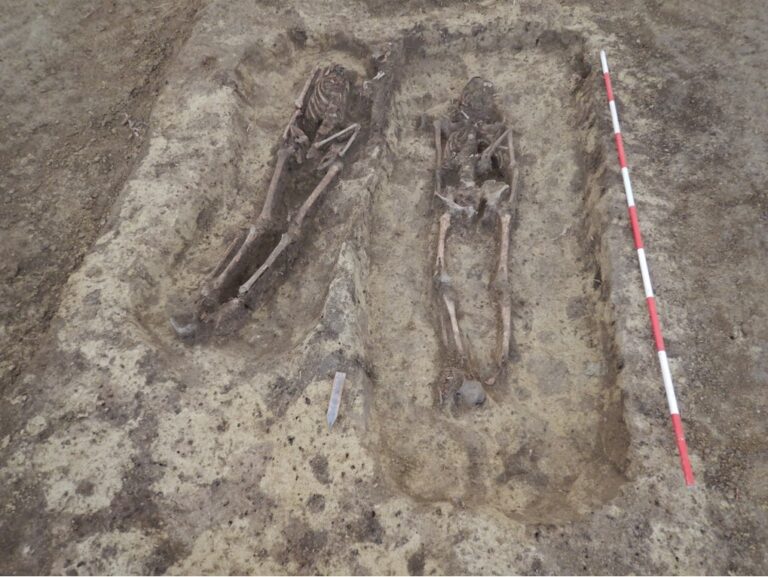 Arheološka iskopavanja u opštini Vrbas donela zanimljiva otkrića - Sve o arheologiji